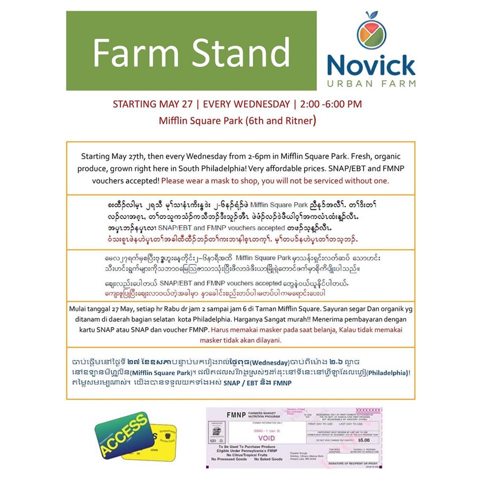 Novick Farm Market Returns to MSP | Mifflin Square